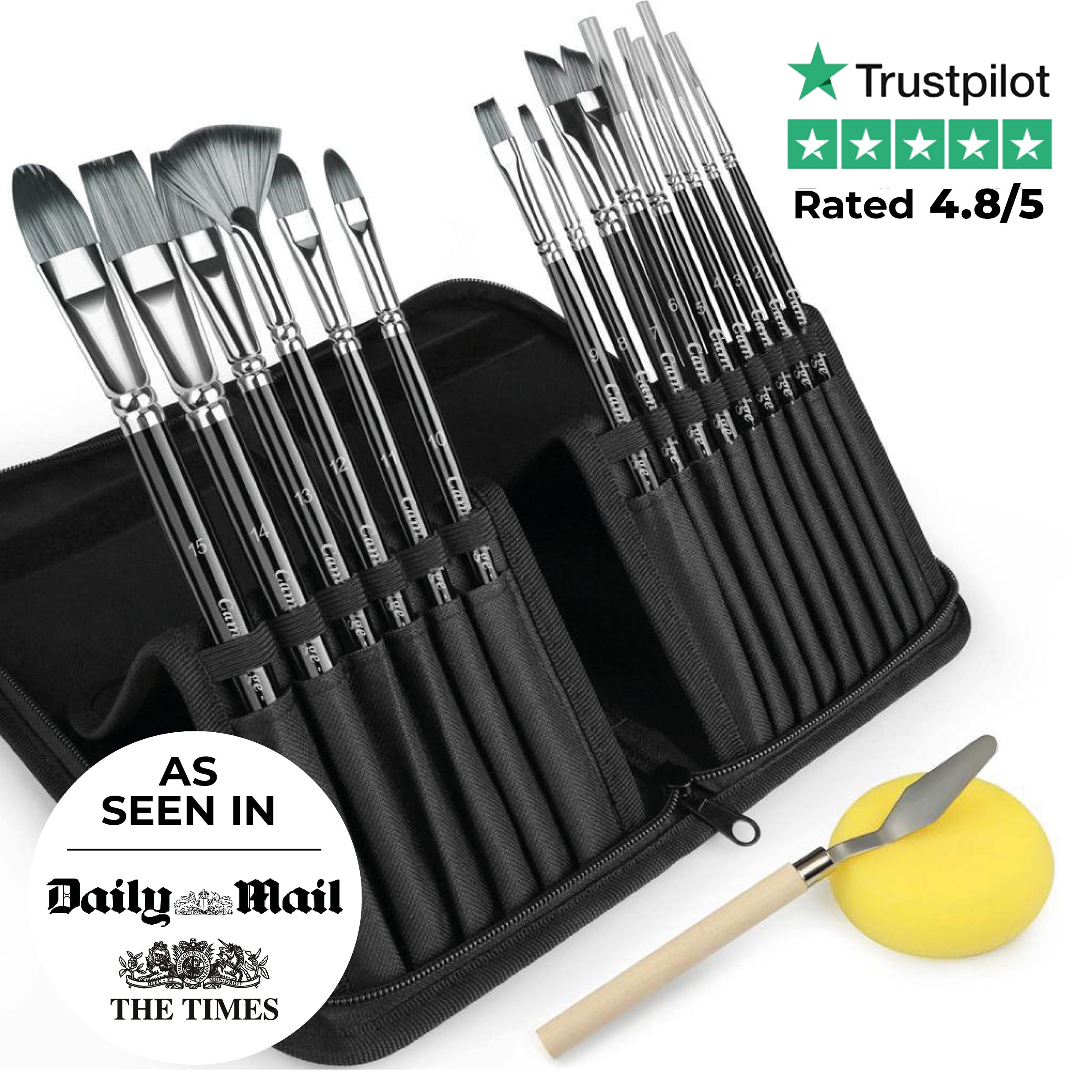 Set of 15 Premium Fine Artist Brush Set with Durable Case – The Artists ...