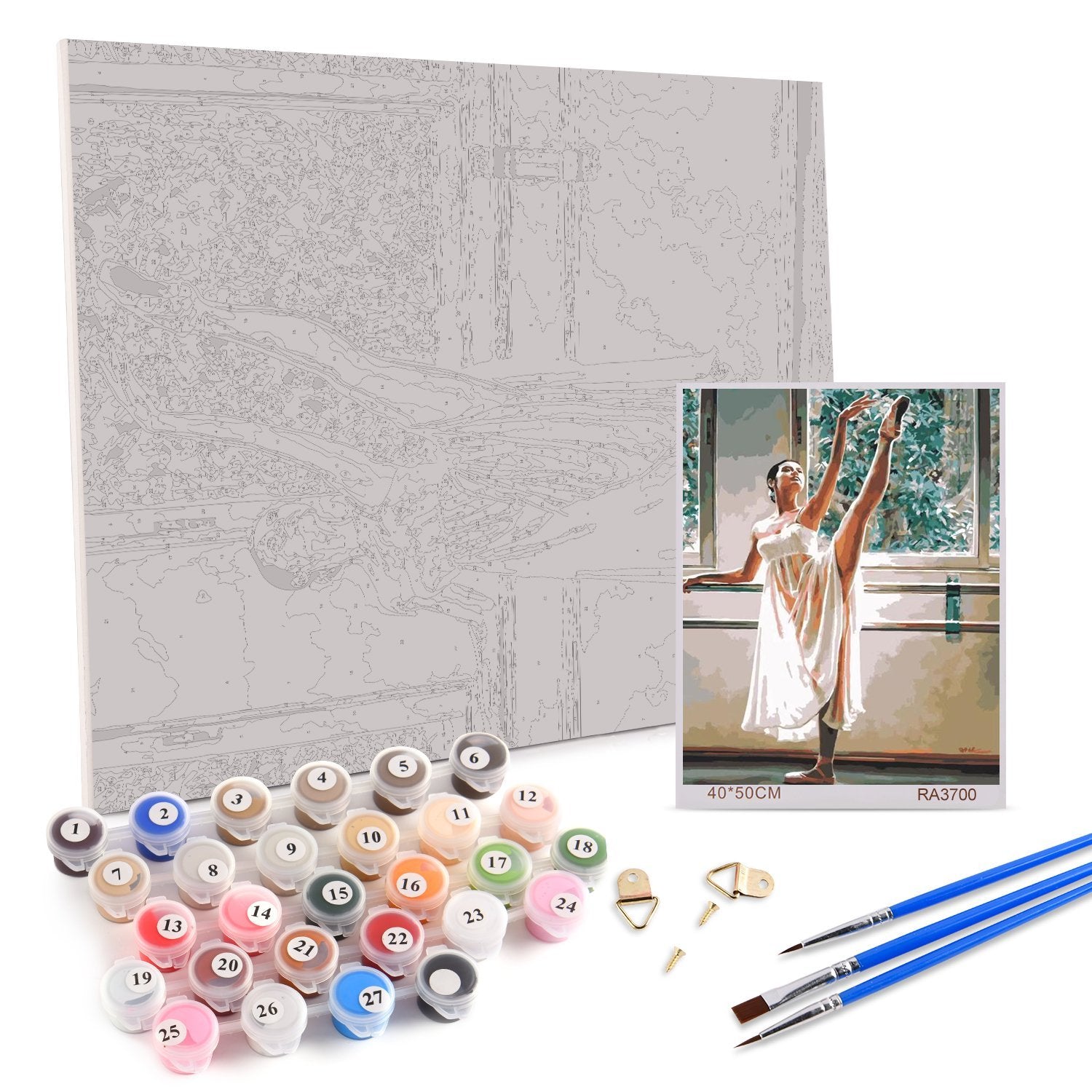 Premium paint by numbers - Ballet Dancer Practice - FRAMED OR UNFRAMED ...